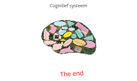 Cognitief systeem by Remco Buik on Prezi