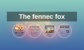 food web for Nashville Tennessee by daycha bria on Prezi