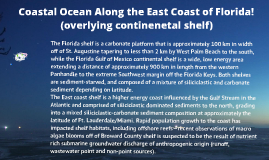 East Coast of Florida Food Web! by MaryBeth Walters on Prezi