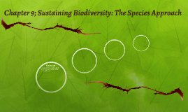 Tajweed Rules: Idhaar and Qalqalah by Anna Ali on Prezi