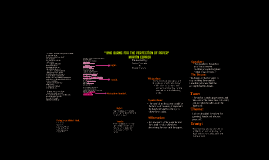 "Who Burns for the Perfection of Paper" by justine cappuccio on Prezi