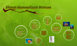 Shtazet shumeqelizorë-Metazoa by Doruntina Aliu on Prezi