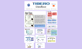 TIBERO DATABASE by on Prezi