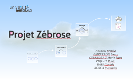 Biodégradation in vitro de l'auxine by on Prezi