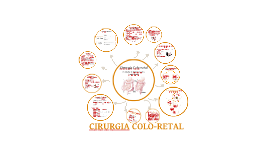 Sigmoidectomia: Cuidados e Intervenções de Enfermagem by Eunice Antunes ...