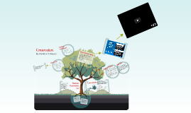 Conservatism during Progressive Era by Carmen Camp on Prezi