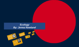 Food Chain of A White Tiger. by Jenna Nowland on Prezi