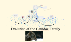 Evolution of the Canidae Family by paige huitema on Prezi
