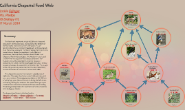 California Chaparral Food Web by Jackie Edinger on Prezi