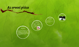 Az orvosi pióca by Péter Bottlik on Prezi