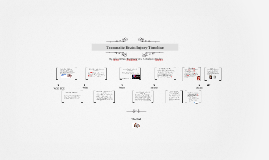 Traumatic Brain Injury Timeline by Maddy Tjaden on Prezi