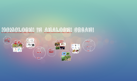HOMOLOGNI IN ANALOGNI ORGANI by hana grum on Prezi