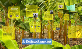 El Enclave Bananero by Melvin Rivera on Prezi