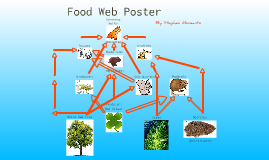 Food Web Poster by Stephen Monsanto on Prezi