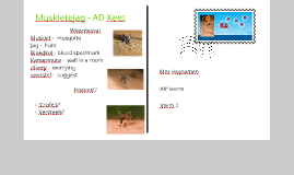 Muskietejag - AD Keet by Curtis Huysamen on Prezi