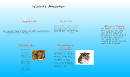 Ancestors of Rabbits by Stephanie Cuellar on Prezi
