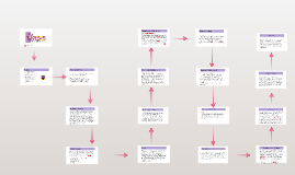 PLS–5 is an individually administered test used to identify by Shawn ...