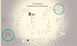 Koevolution by Lilit Karapetyan on Prezi