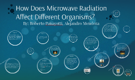 How Does Microwave Radiation Affect Different Organisms? by roberto ...