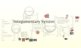 Integumentary System - SKIN! - 7th Grade Brawley Middle by Jill Hoffman ...