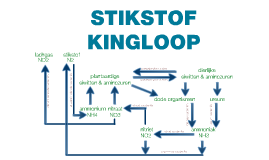 Biologie stikstofkringloop by Frederique Hugenholtz on Prezi