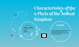 Characteristics of the 9 Phyla of the Animal Kingdom by Mark Miller on ...