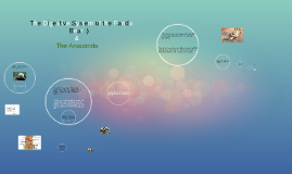 The Digestive System of the Panda Bear :) by Shelby Piels on Prezi