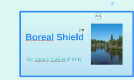 Boreal Shield by kitty chen on Prezi