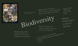 Tasmanian Devil - Life Cycle by Thomas Graham on Prezi