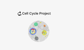 Cell Cycle Project by Amy John on Prezi