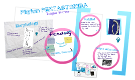 Phylum Pentastomida by Princess Okwesili on Prezi