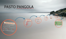 PASTO PANGOLA by on Prezi