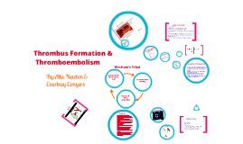 Pathophysiology of Thrombus Formation and Thromboembolism by Allie ...