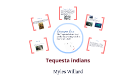 Tequesta Indians by Myles Willard on Prezi