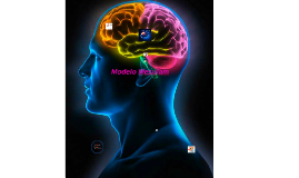 Modelo Mesulam by angie mendez on Prezi