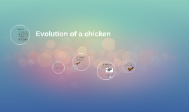Evolution of a chicken by janiyah stovall on Prezi