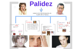 Palidez by fernanda dominguez on Prezi