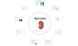 Njursten by linnea hellbring on Prezi