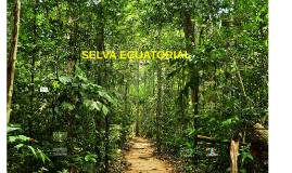 SELVA ECUATORIAL by Alvaro Gutiérrez Torrijos on Prezi