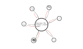 Circulatory System of Turtles by Teonna Fleming on Prezi