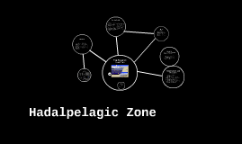 Hadalpelagic Zone by Chelssie Baggett on Prezi