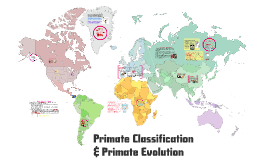 Lec. 5&6 Primate Classification & Evolution by Timothy Sefczek on Prezi