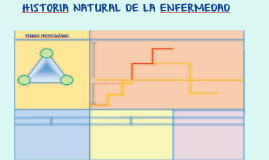 HISTORIA NATURAL DE LA ENFERMEDAD Y NIVELES DE PREVENCIÓN by Julio Cesar Bartolo on Prezi