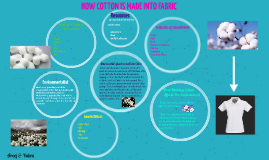 HOW COTTON IS MADE INTO FABRIC by yalini sothy on Prezi