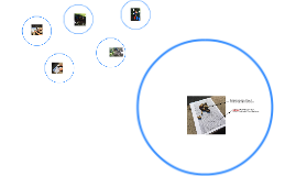 Cailleux roundness index by Peter Midtgard on Prezi