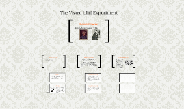 The Visual Cliff Experiment by Angel Collins on Prezi