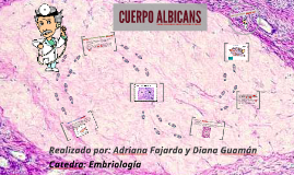 cuerpo albicans by paola garcia on Prezi