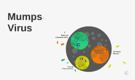 Mumps Virus by Claire Dorothy on Prezi