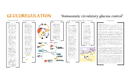 GLUCOREGULATION by David Penney on Prezi