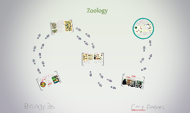 Tetra-Amelia Syndrome by emiri peters on Prezi